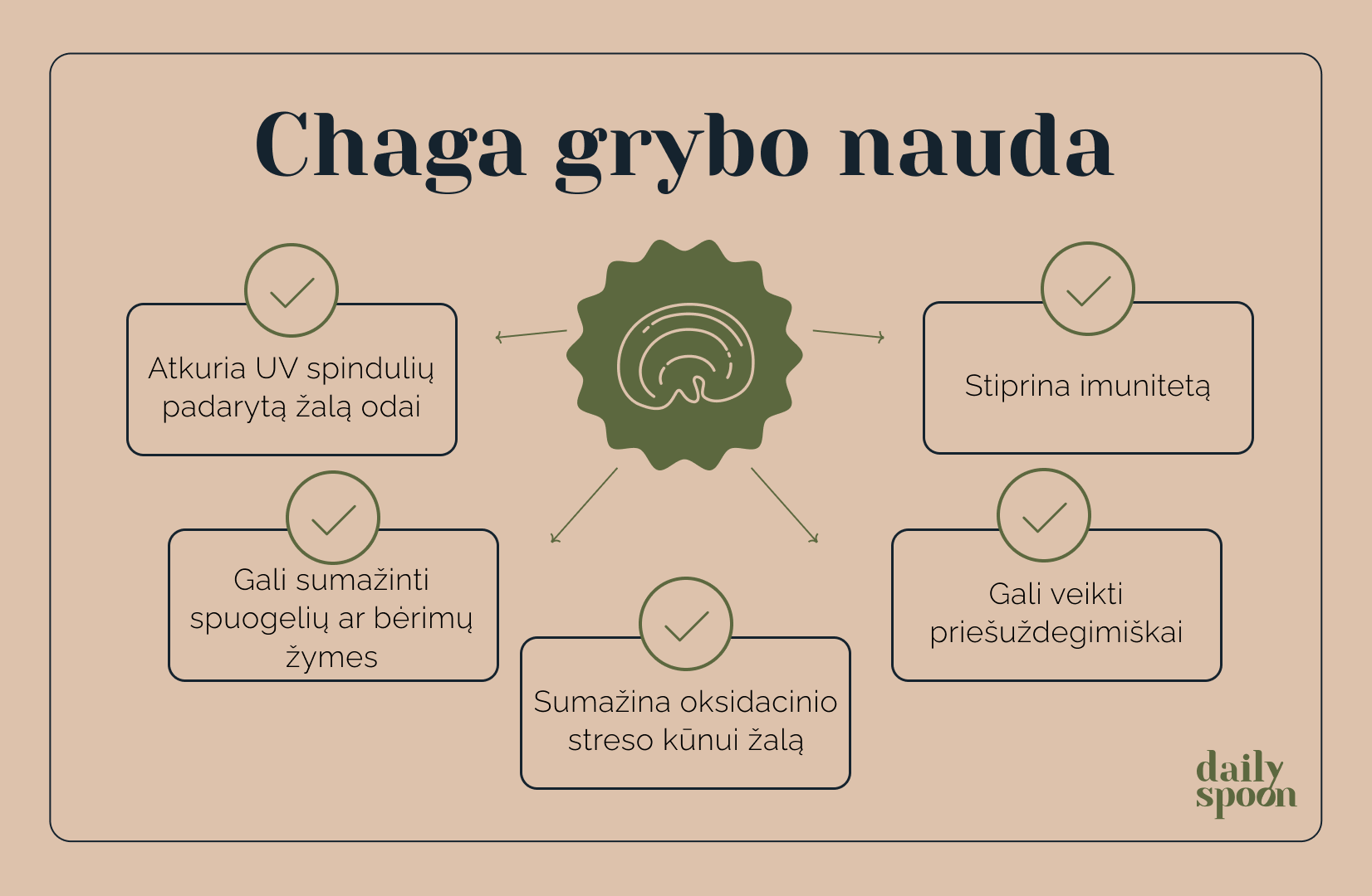 Chaga nauda ir vartojimas | Daily Spoon