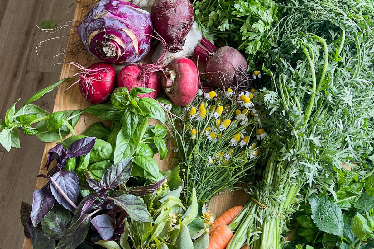 Sustojo skrandis - simptomai ir patarimai ką daryti | Daily Spoon