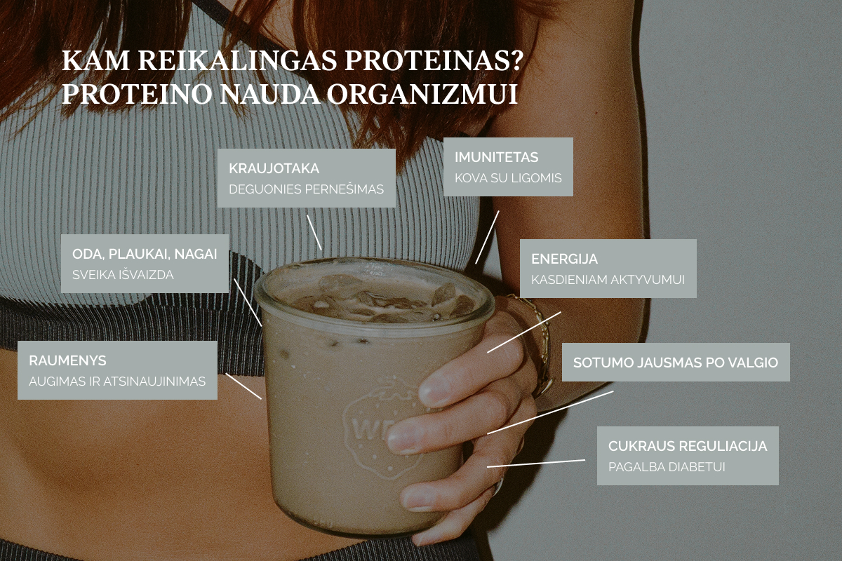Proteinas ir baltymai: viskas, ką turi žinoti | Daily Spoon